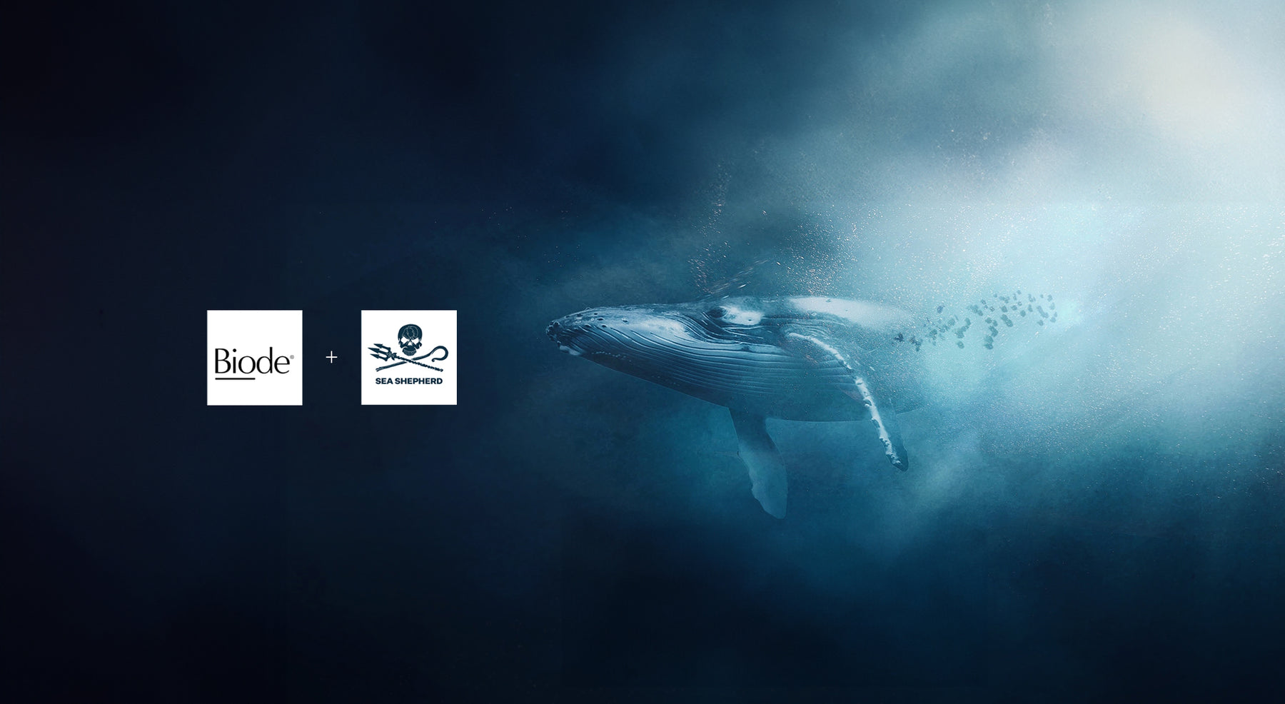 Sea Shepherd + Biode : A Timely Partnership